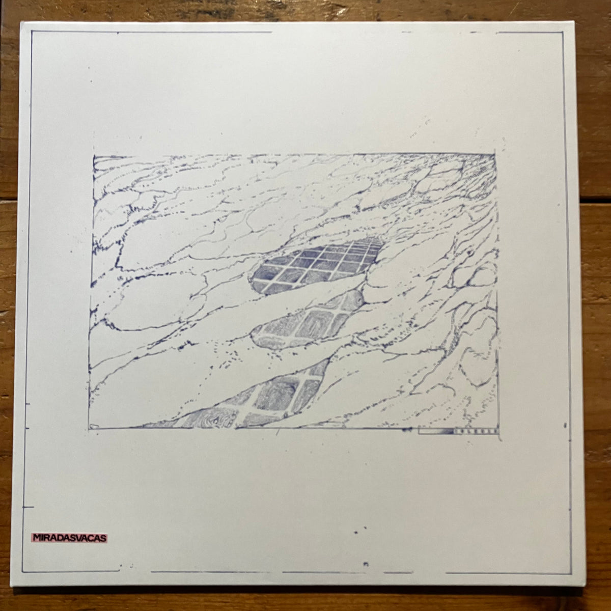 Miradasvacas - Of No Fixed Abode (LP) – pianola records