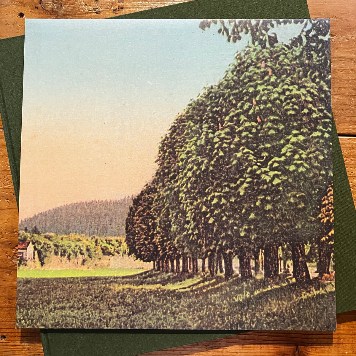 Andrew Chalk – Time Of Hayfield (LP) – pianola records