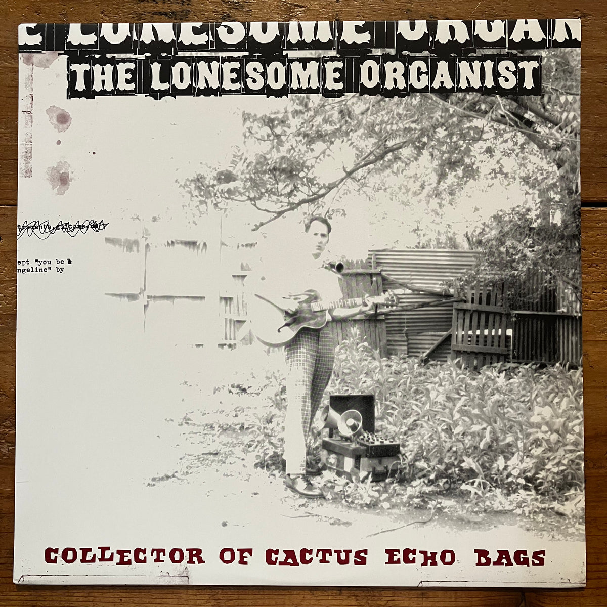 The Lonesome Organist – Collector Of Cactus Echo Bags – pianola records